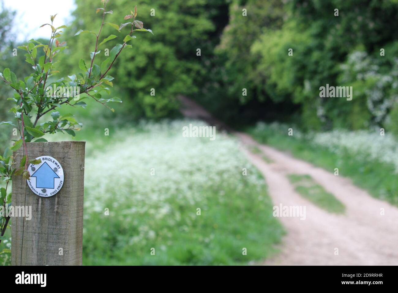 English countryside Bridleway Stock Photo - Alamy