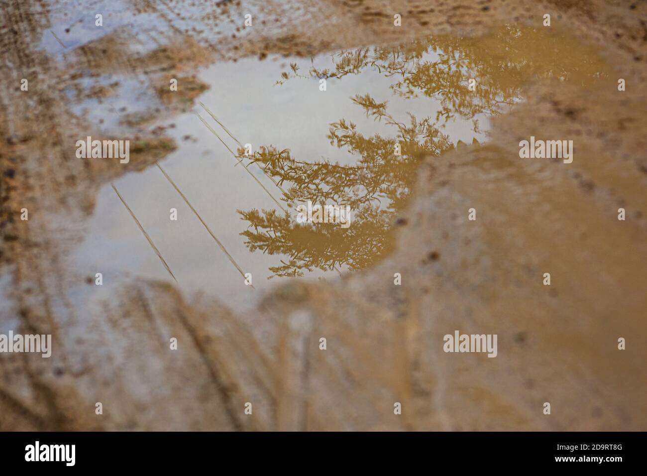 Child puddle of mud in countryside hi-res stock photography and images ...
