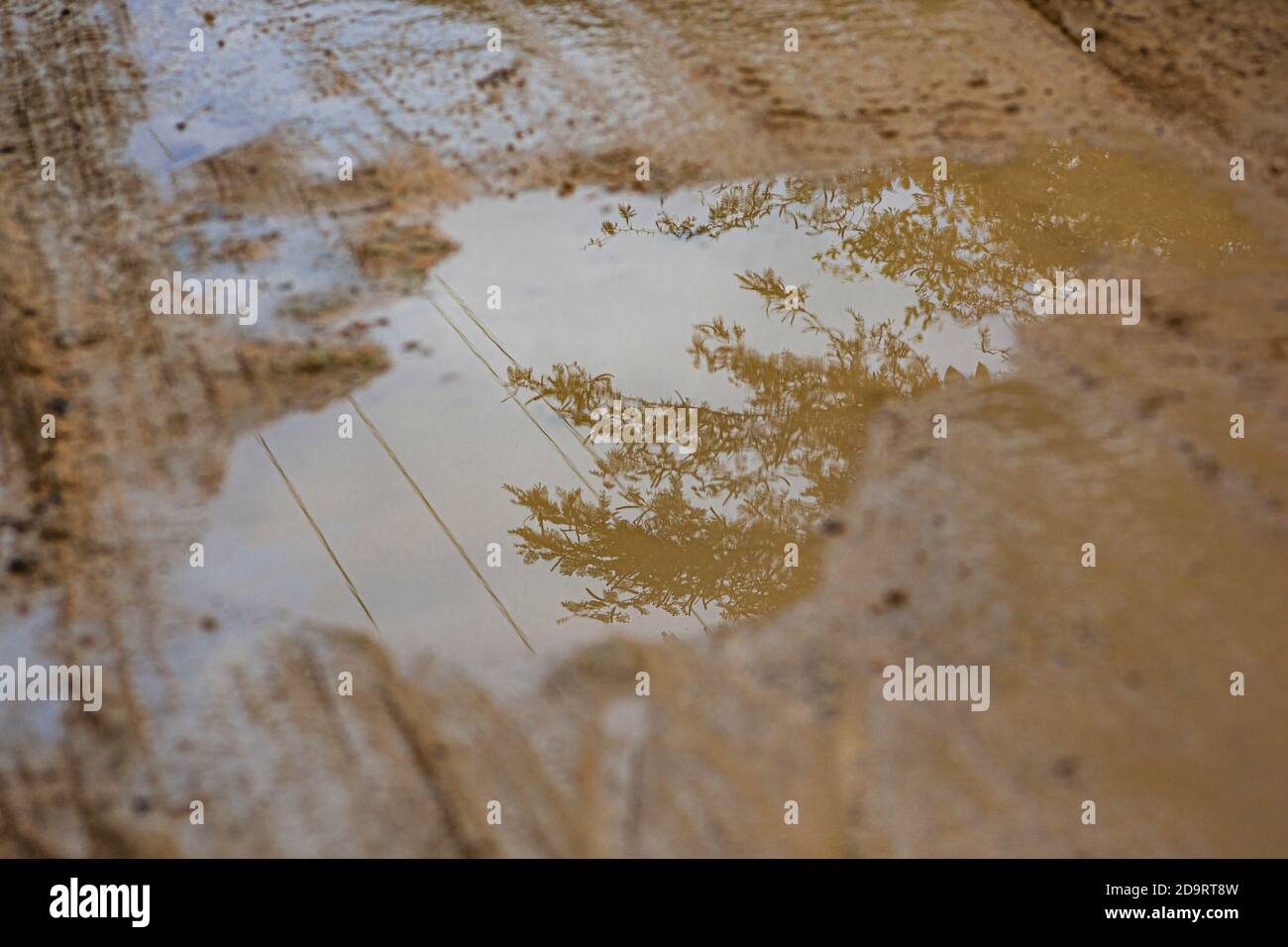 Child puddle of mud in countryside hi-res stock photography and images ...