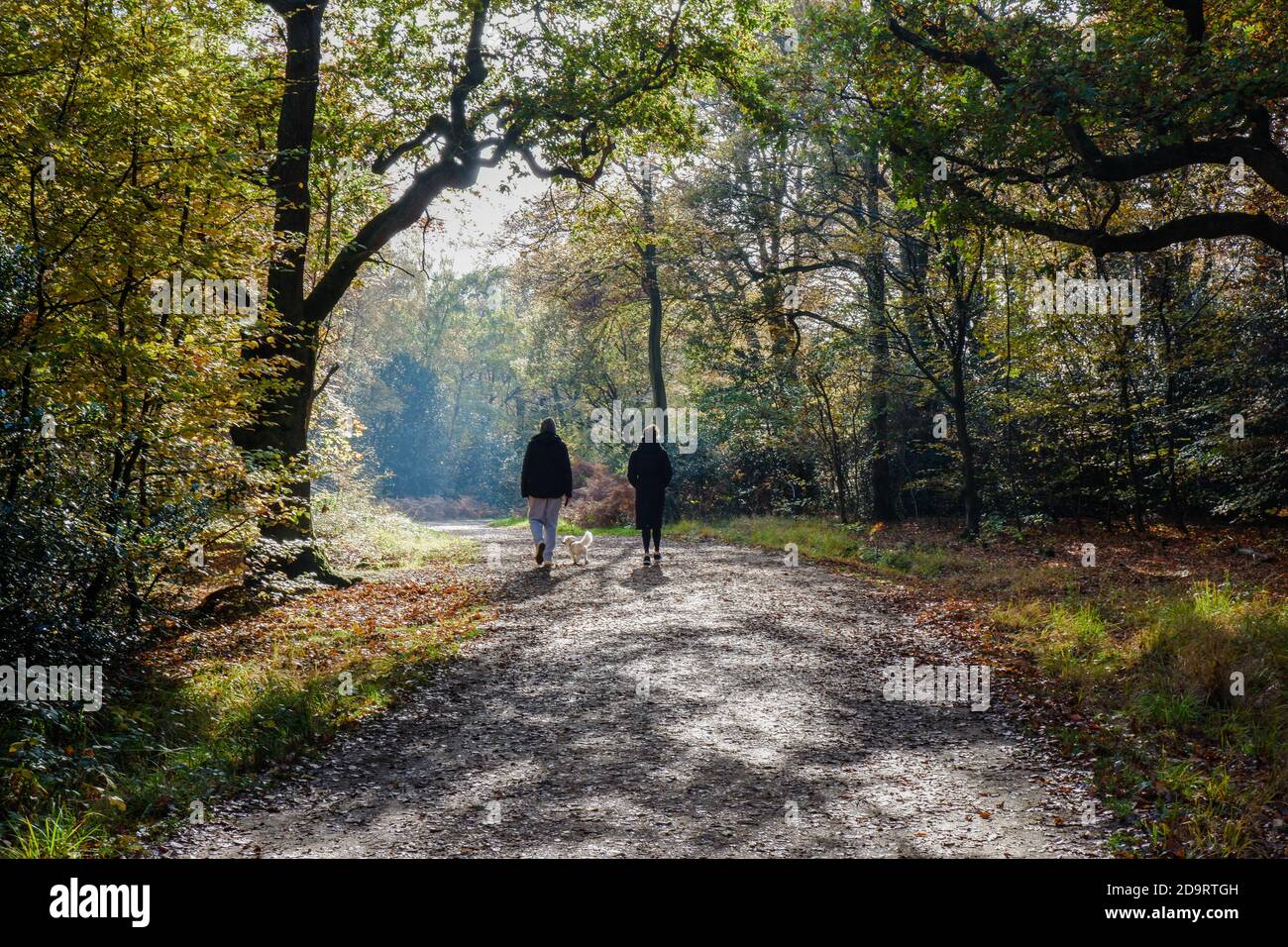 Loughton hi-res stock photography and images - Alamy