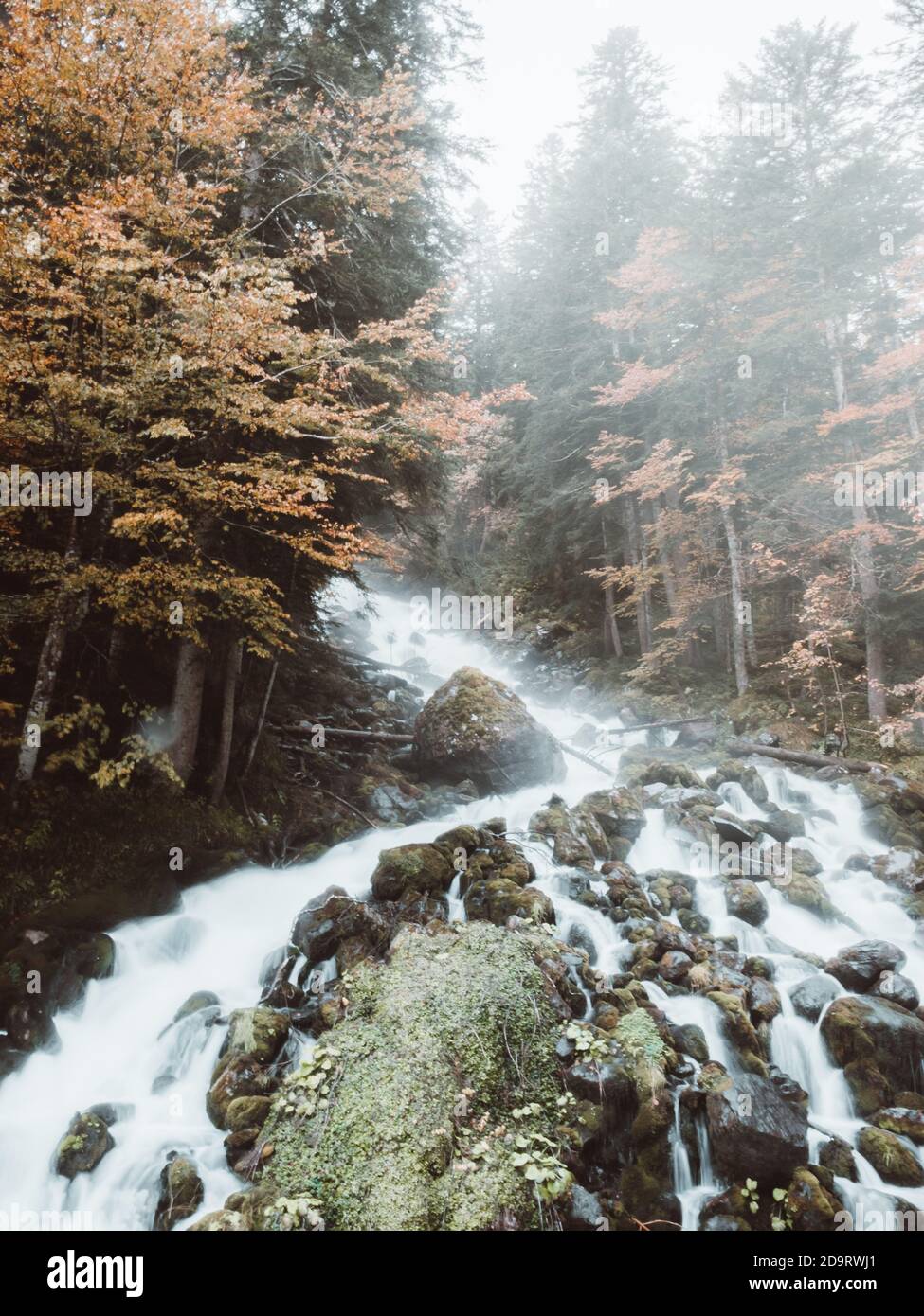 Middle mountain wild forest hi-res stock photography and images - Alamy