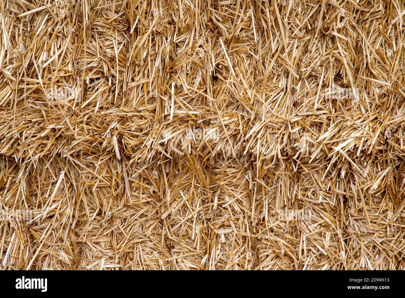 The pressed straw texture and background Stock Photo - Alamy