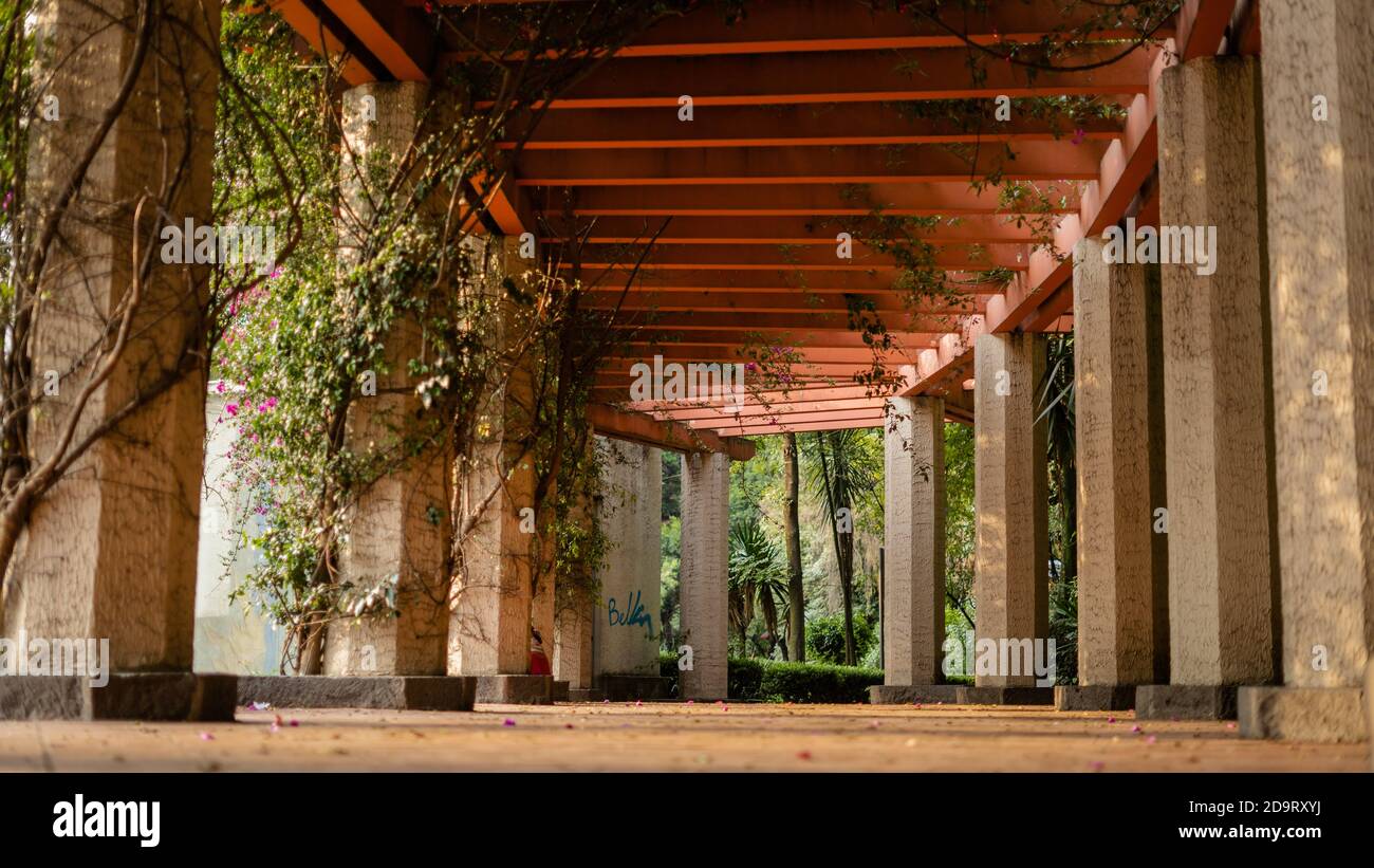 Low angle view ceiling pergola hi-res stock photography and images - Alamy