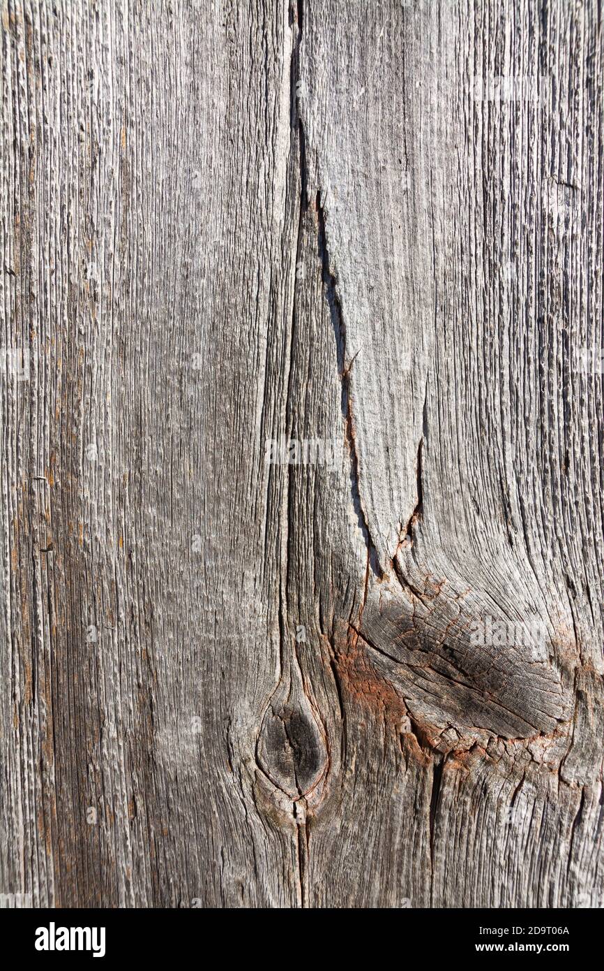 Weathered wood background in natural light Stock Photo - Alamy