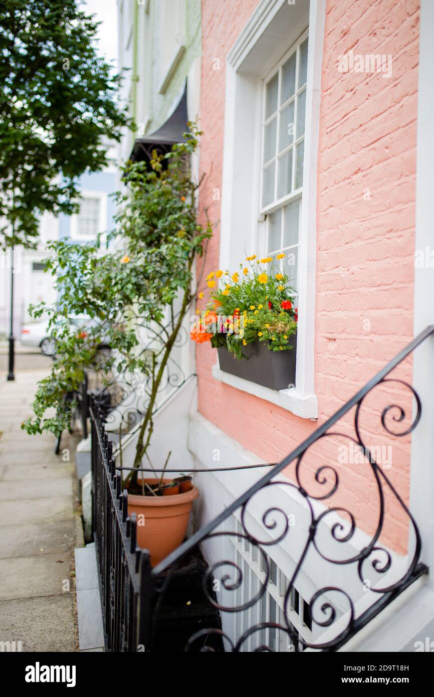 Pink and White House Decorated with Flowers and Plants Stock Photo - Alamy