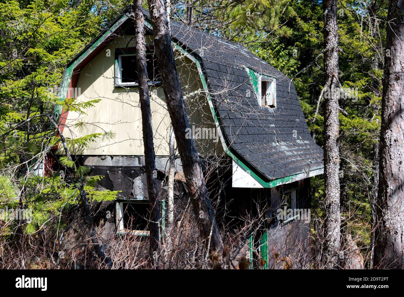 Abandoned shack in the woods. The glass is missing from the windows ...
