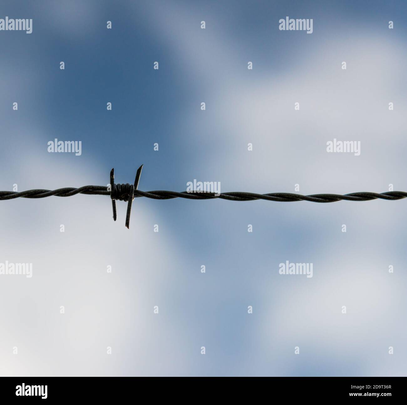 A dark, single barb on a barb wire fence against a partially cloudy sky ...