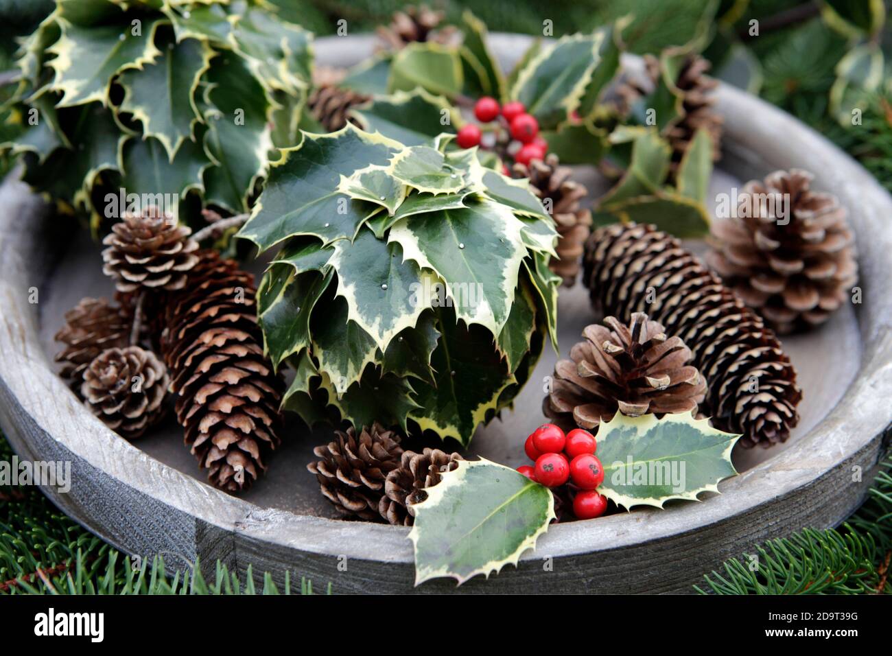 Holly ball Christmas decorations AVAILABLE UK USE ONLY - PLEASE CALL ...