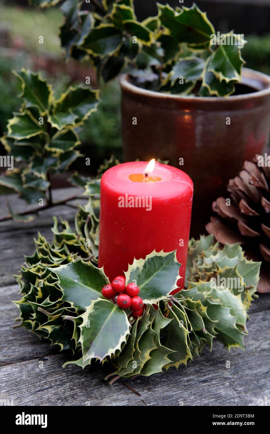 Making a Christmas holly wreath AVAILABLE UK USE ONLY - PLEASE CALL ...