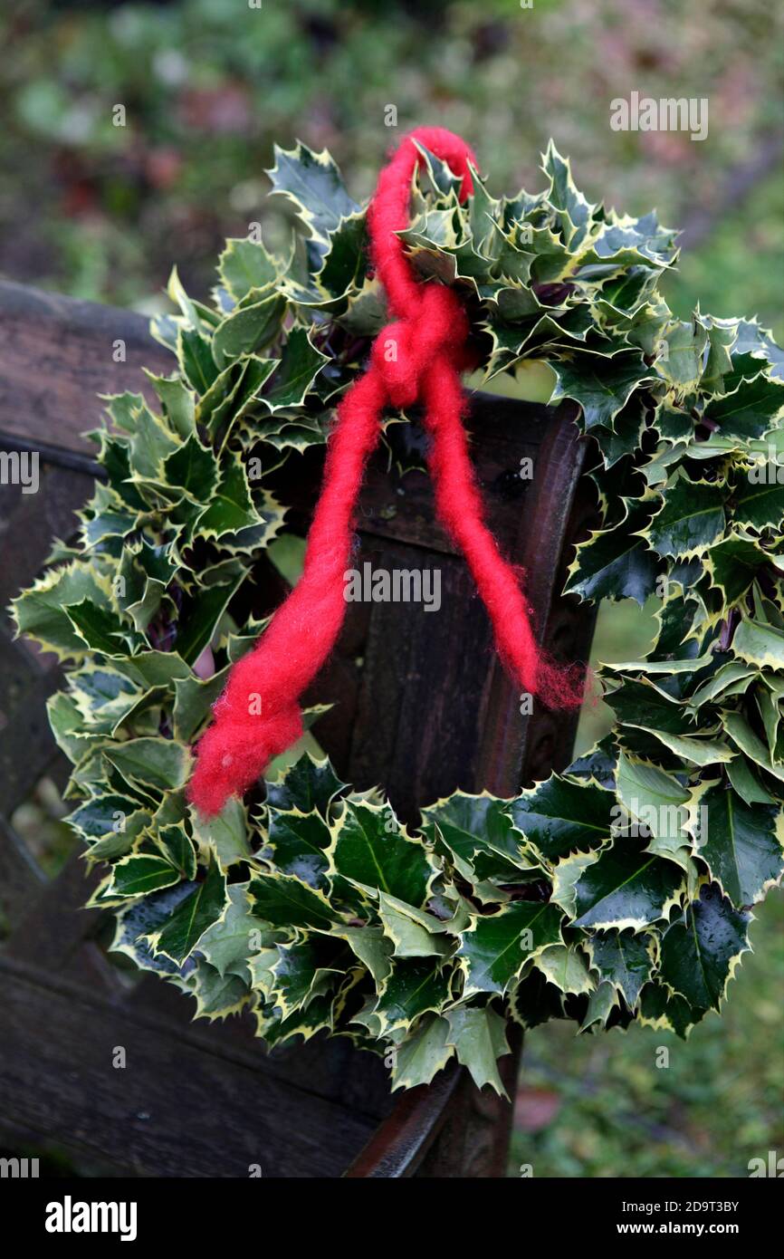 Christmas holly wreath hi-res stock photography and images - Alamy