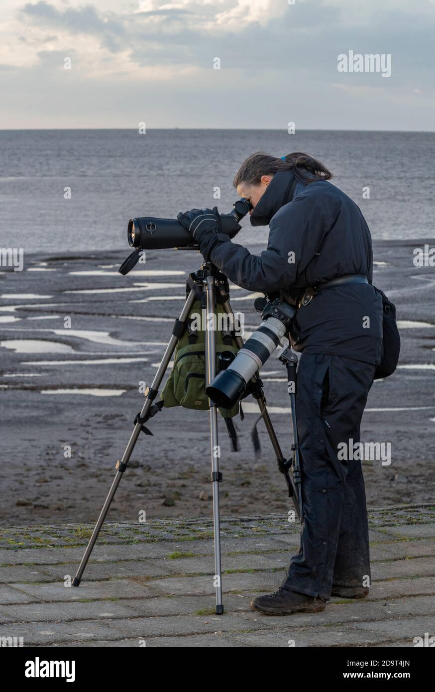 Female woman lady birder birdwatcher hi-res stock photography and ...