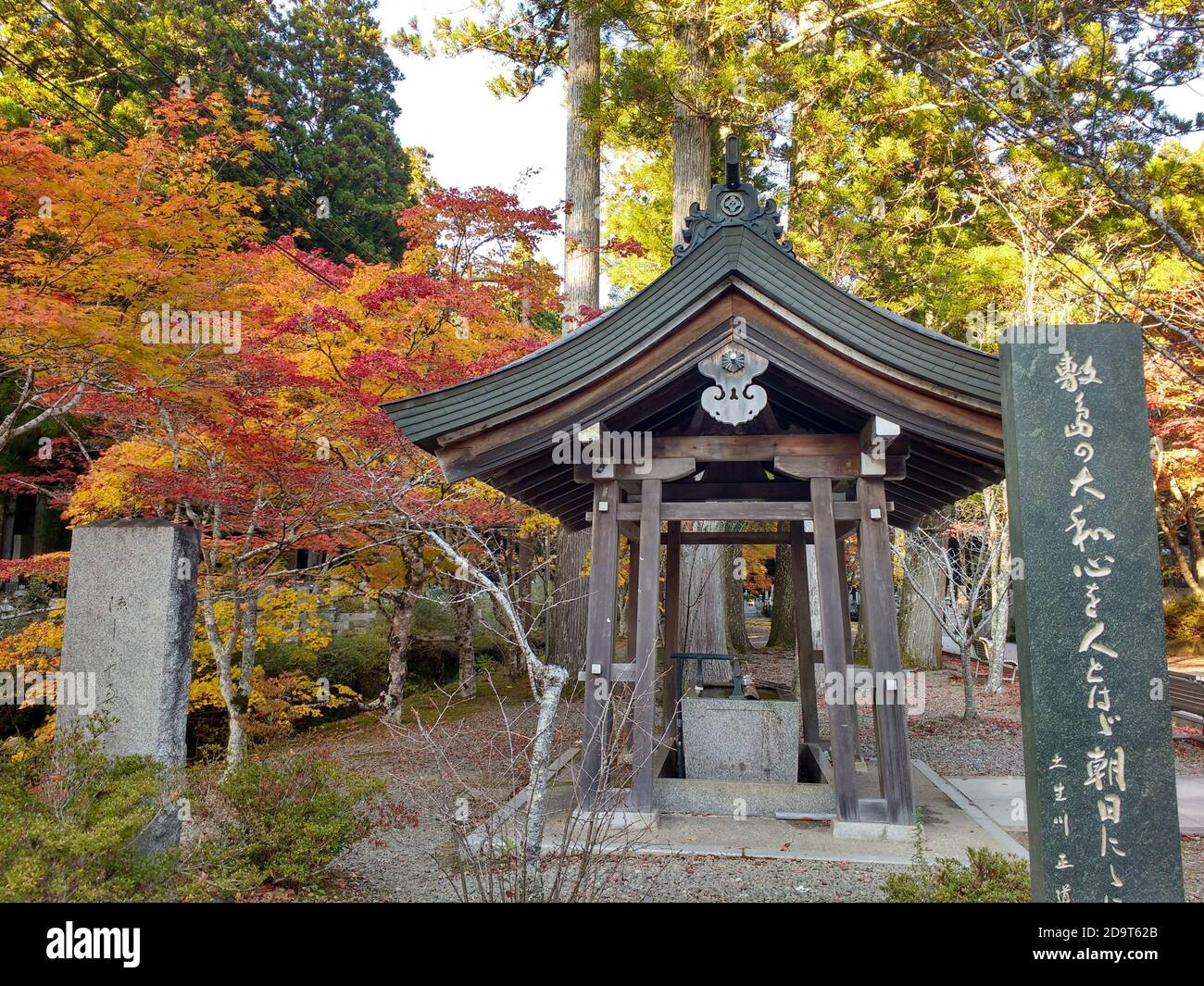 Autumn Leave at Japanese Temple, Koyasan. Japan Stock Photo - Alamy