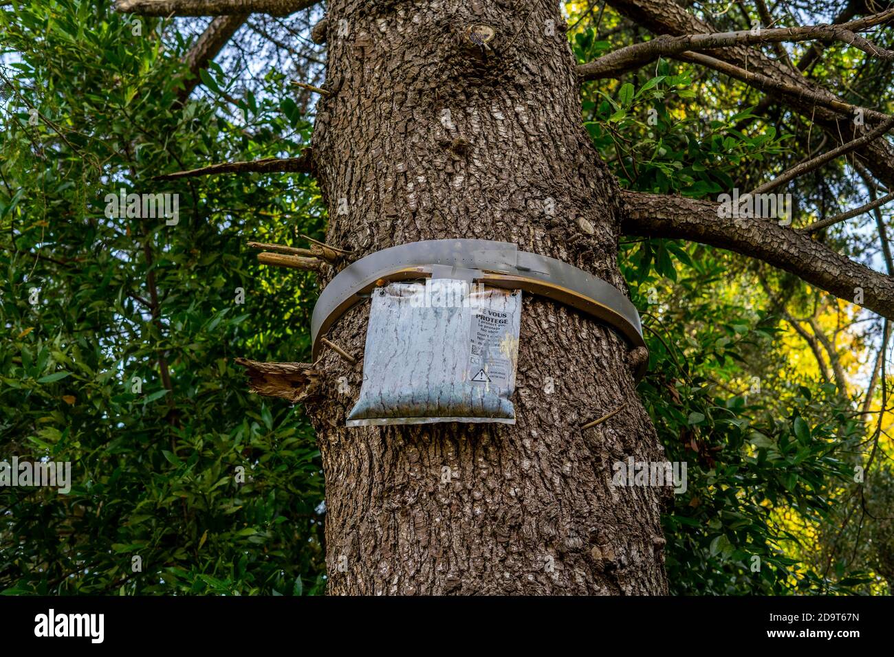 Insect ecological trap hi-res stock photography and images - Alamy