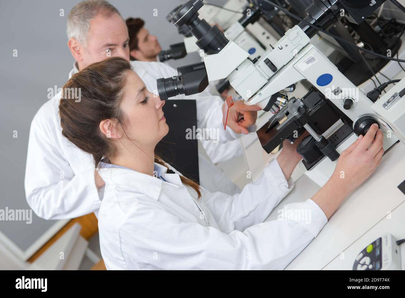 science research project Stock Photo - Alamy