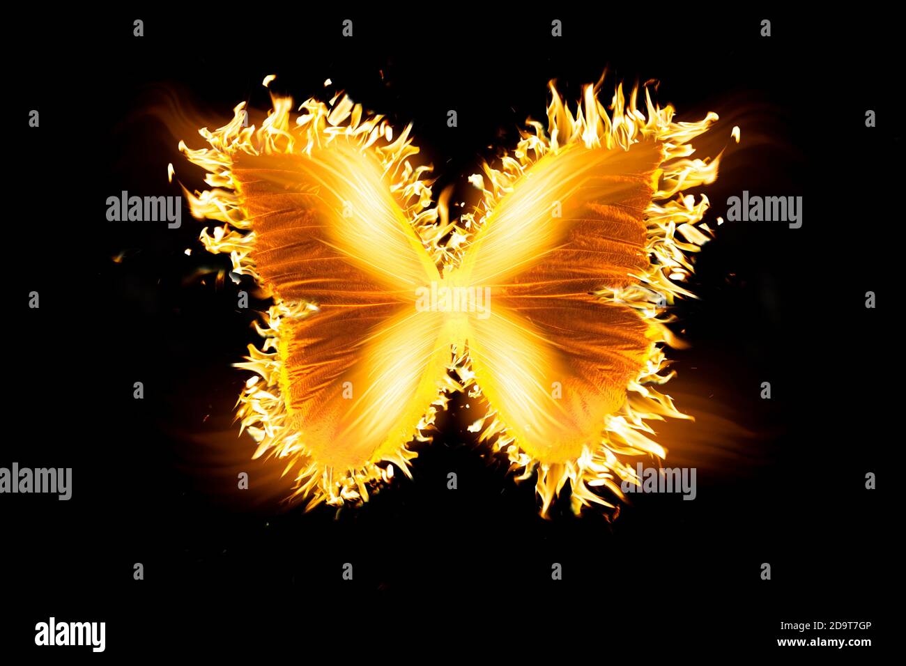 Fire butterfly hi-res stock photography and images - Alamy