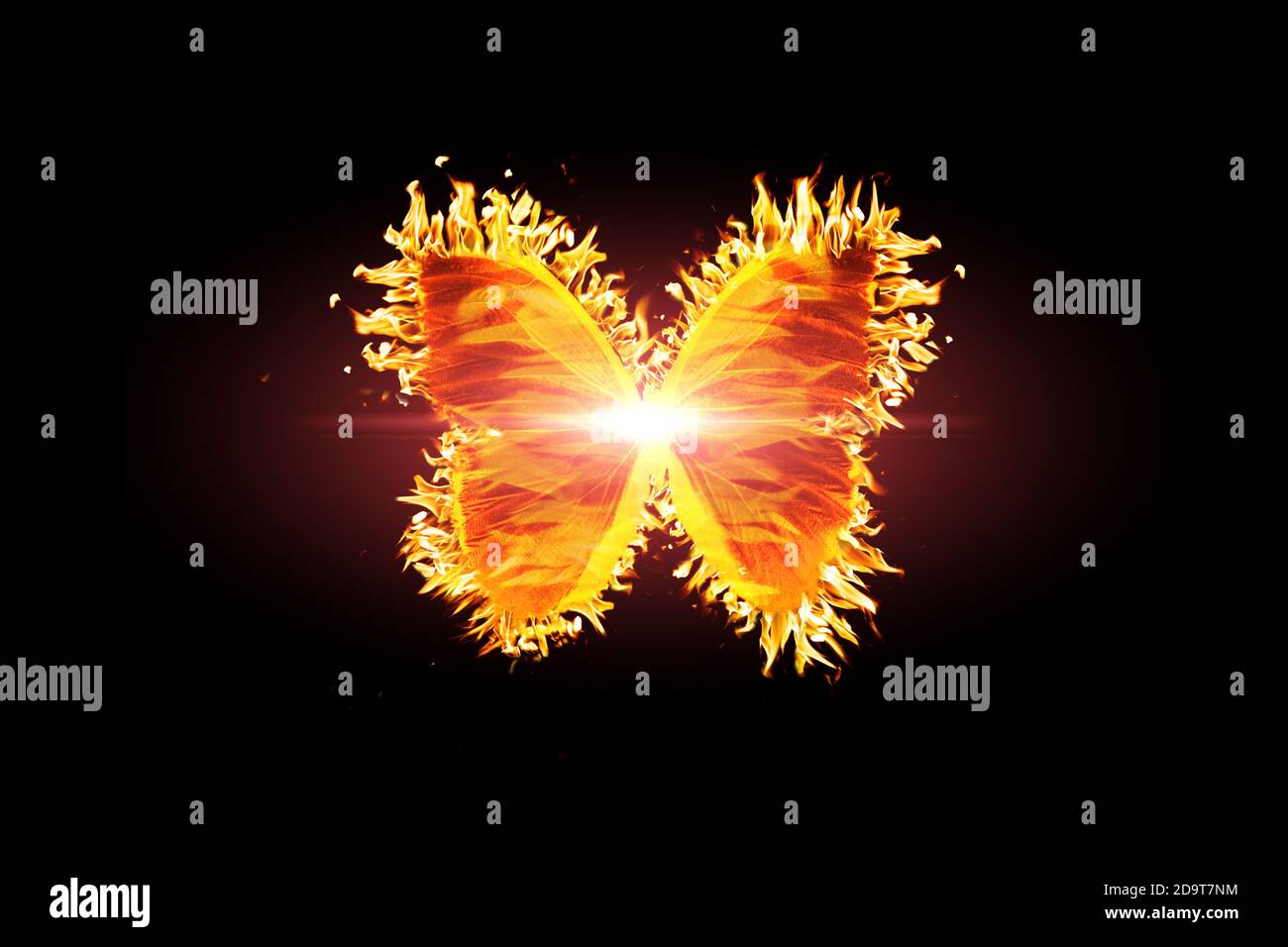 beautiful fire butterfly isolated on black background Stock Photo - Alamy