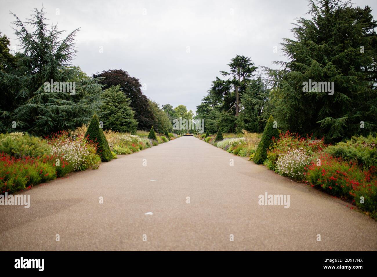 Landscape View of a Long Path Surrounded by Trees and Under a Cloudy ...