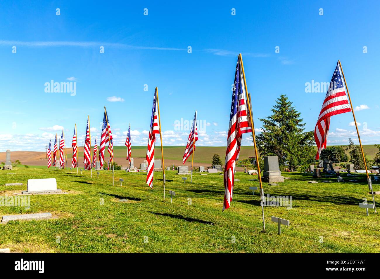 American Flags on Cemetery Stock Photo - Alamy