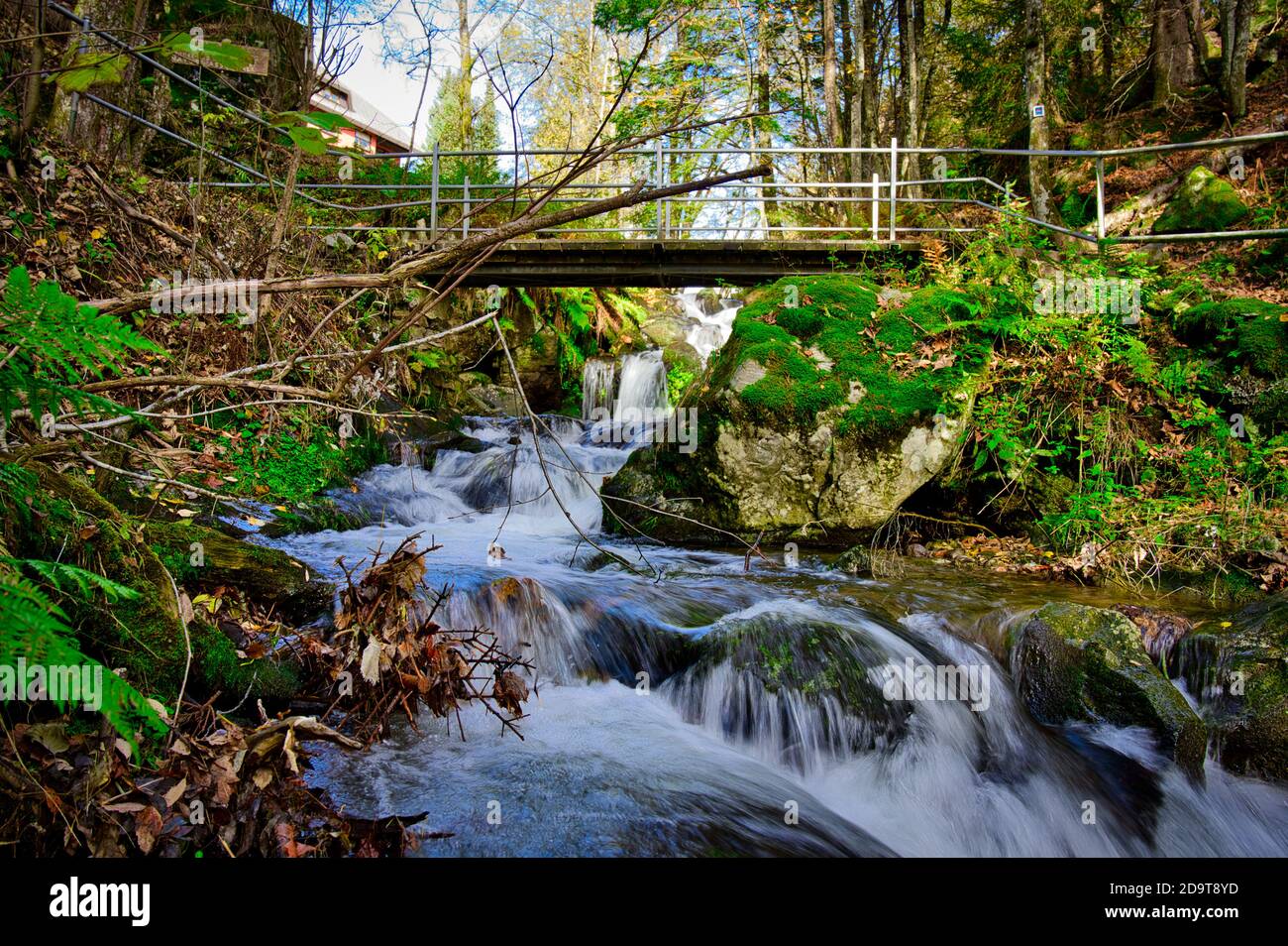 Todtnau Waterfall Black Forest Germany Stock Photo - Alamy