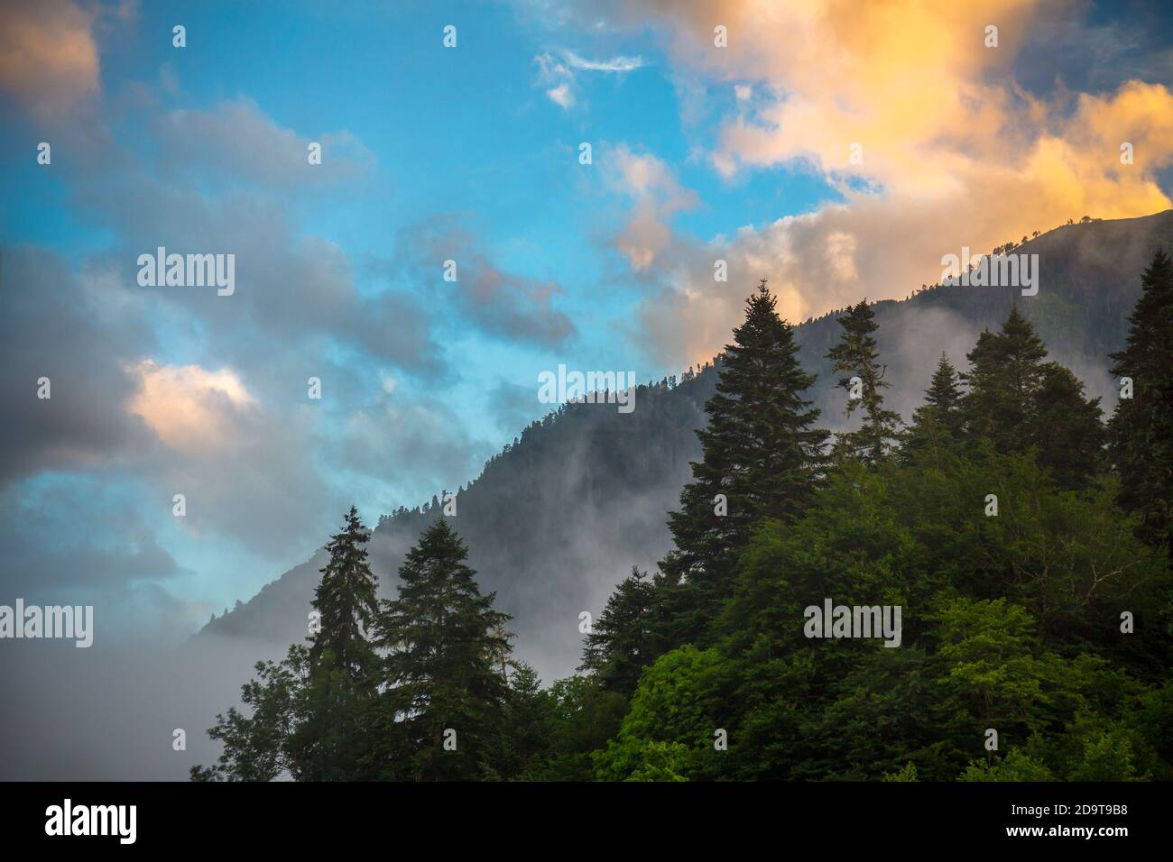Beautiful mountainscape with green forest and clouds on blue sky Stock ...
