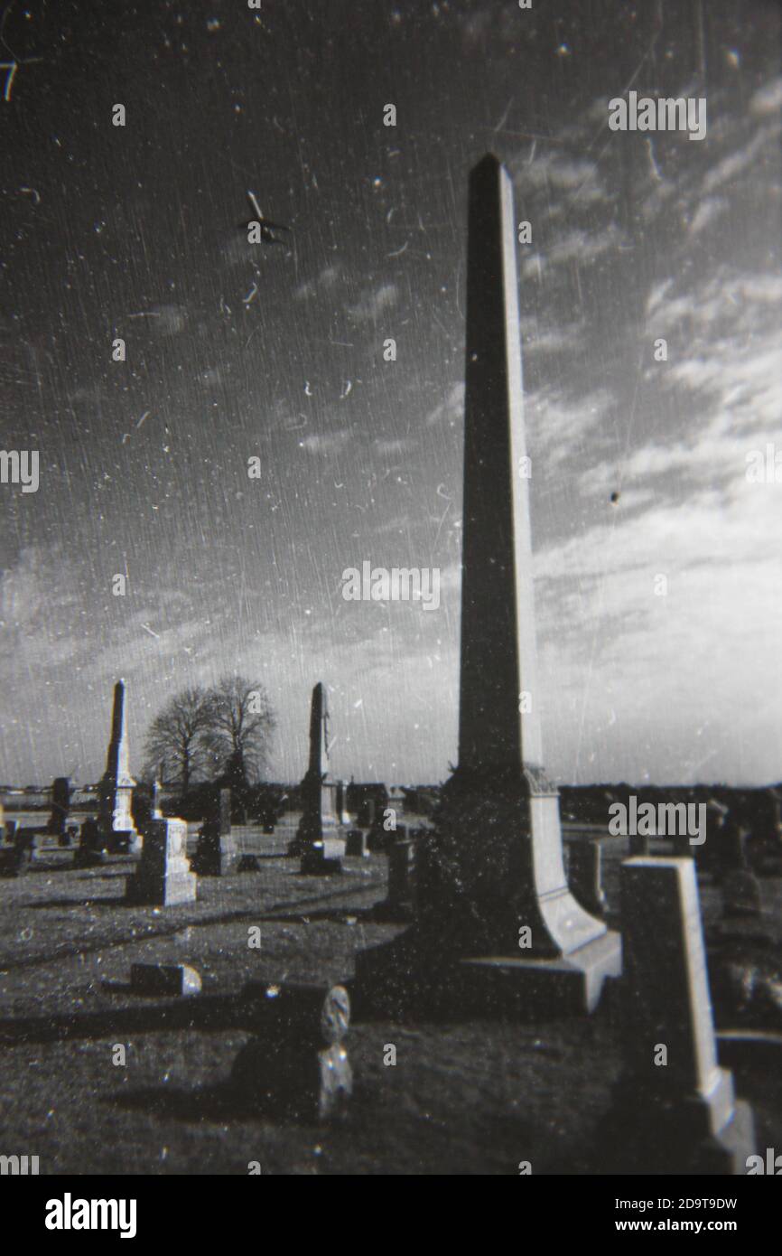 Fine 1970s vintage black and white photography of a cemetery full of ...