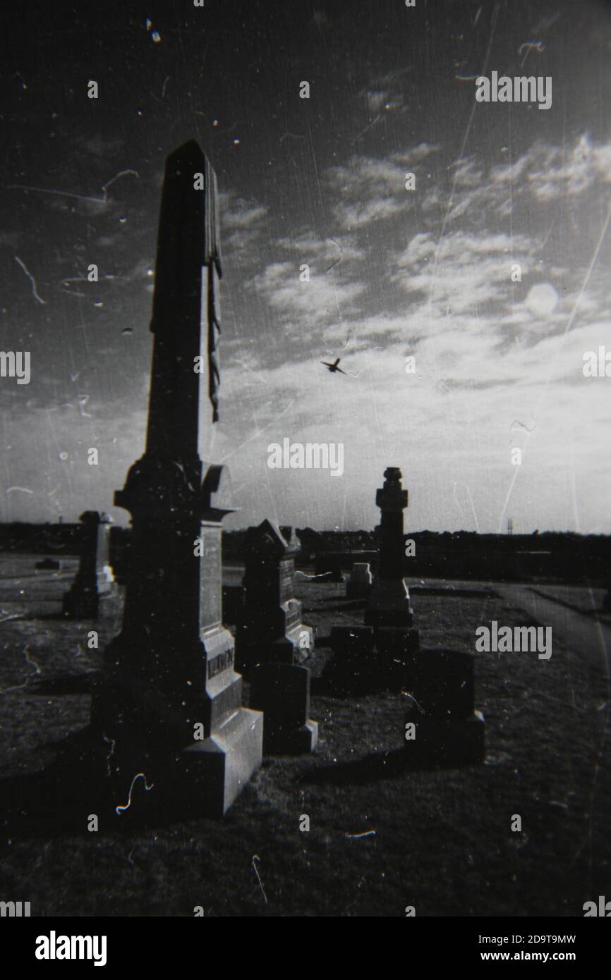 Fine 1970s vintage black and white photography of a cemetery full of ...