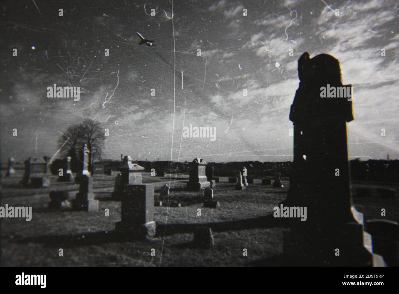 Fine 1970s vintage black and white photography of a cemetery full of ...