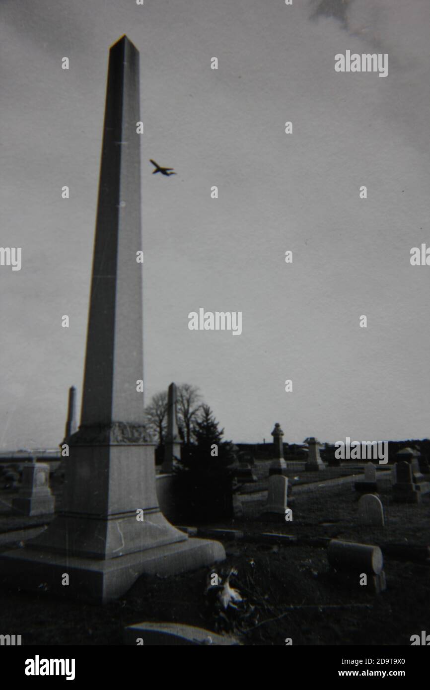 Fine 1970s vintage black and white photography of a cemetery full of ...