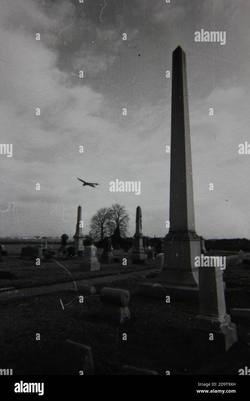 Fine 1970s vintage black and white photography of a cemetery full of ...