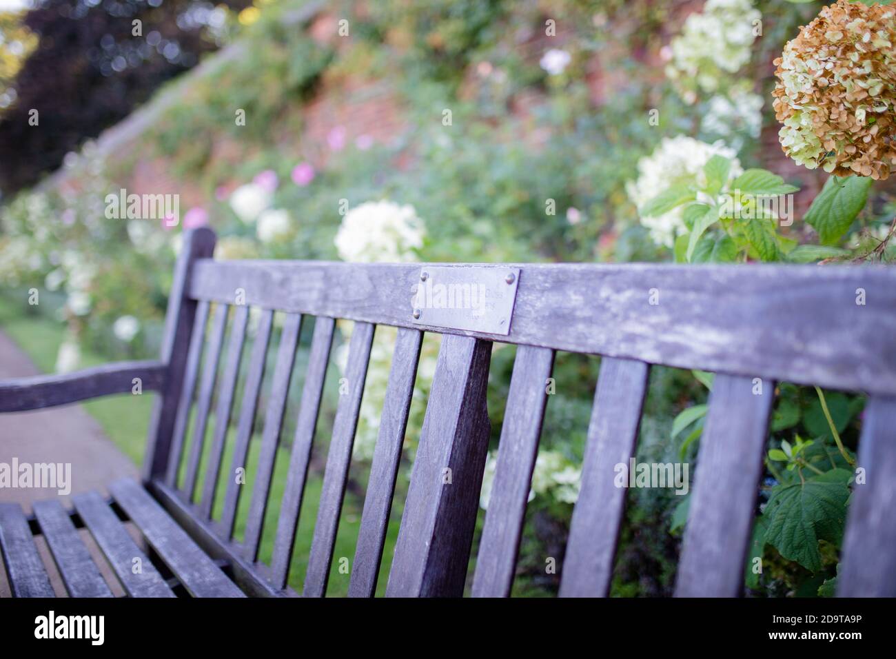 Wooden Bench on a Park Surrounded by Plants and Flowers Stock Photo - Alamy