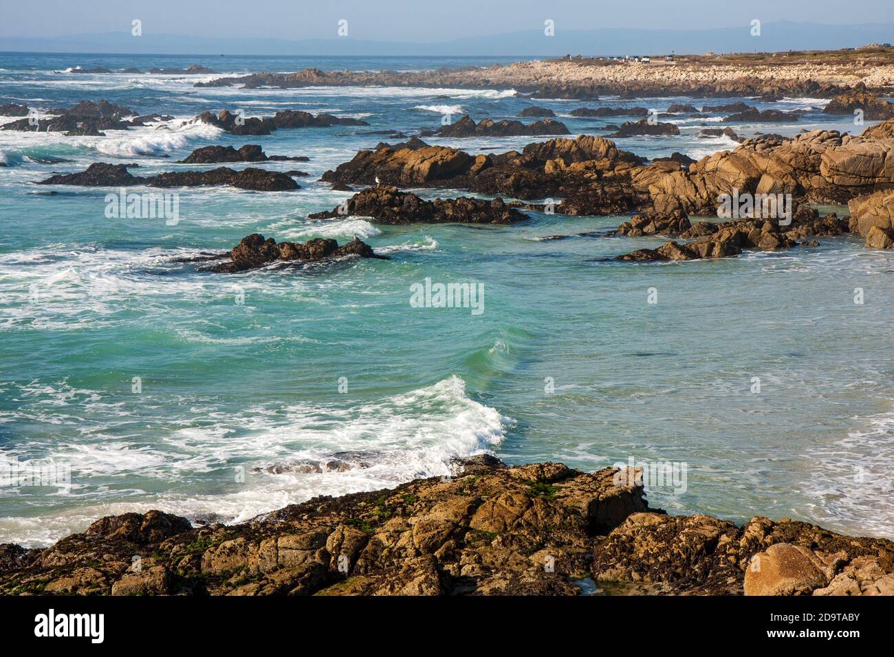 Pacific Ocean coast in Pebble Beach, California Stock Photo - Alamy
