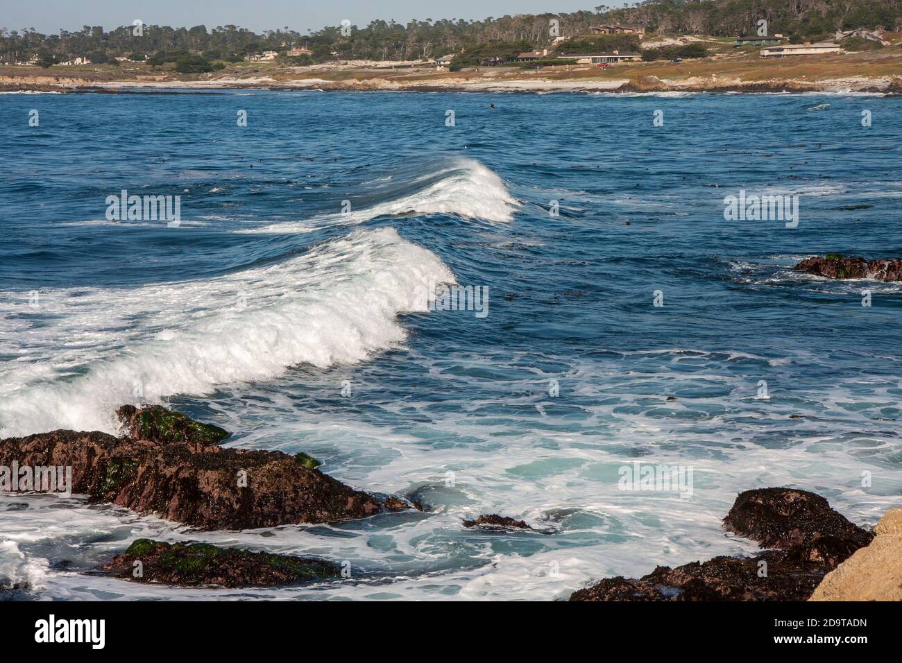 Pacific Ocean coast in Pebble Beach, California Stock Photo - Alamy