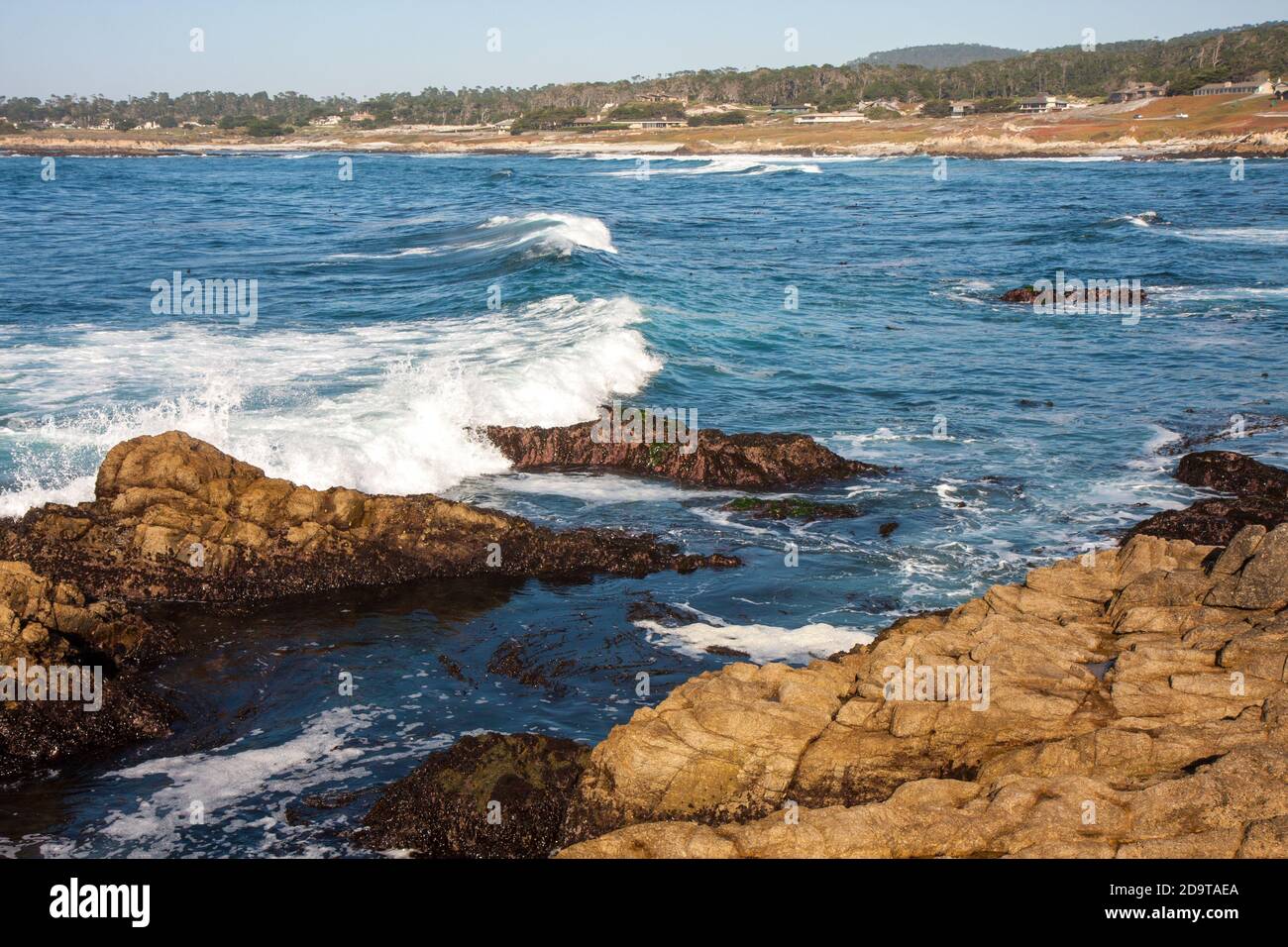 Pacific Ocean coast in Pebble Beach, California Stock Photo - Alamy