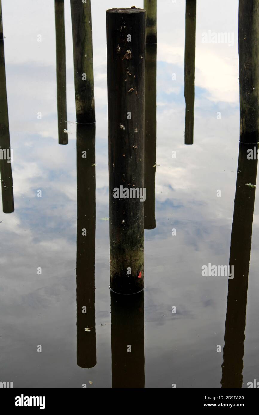 This old wooden post is surrounded by the reflections of the posts ...