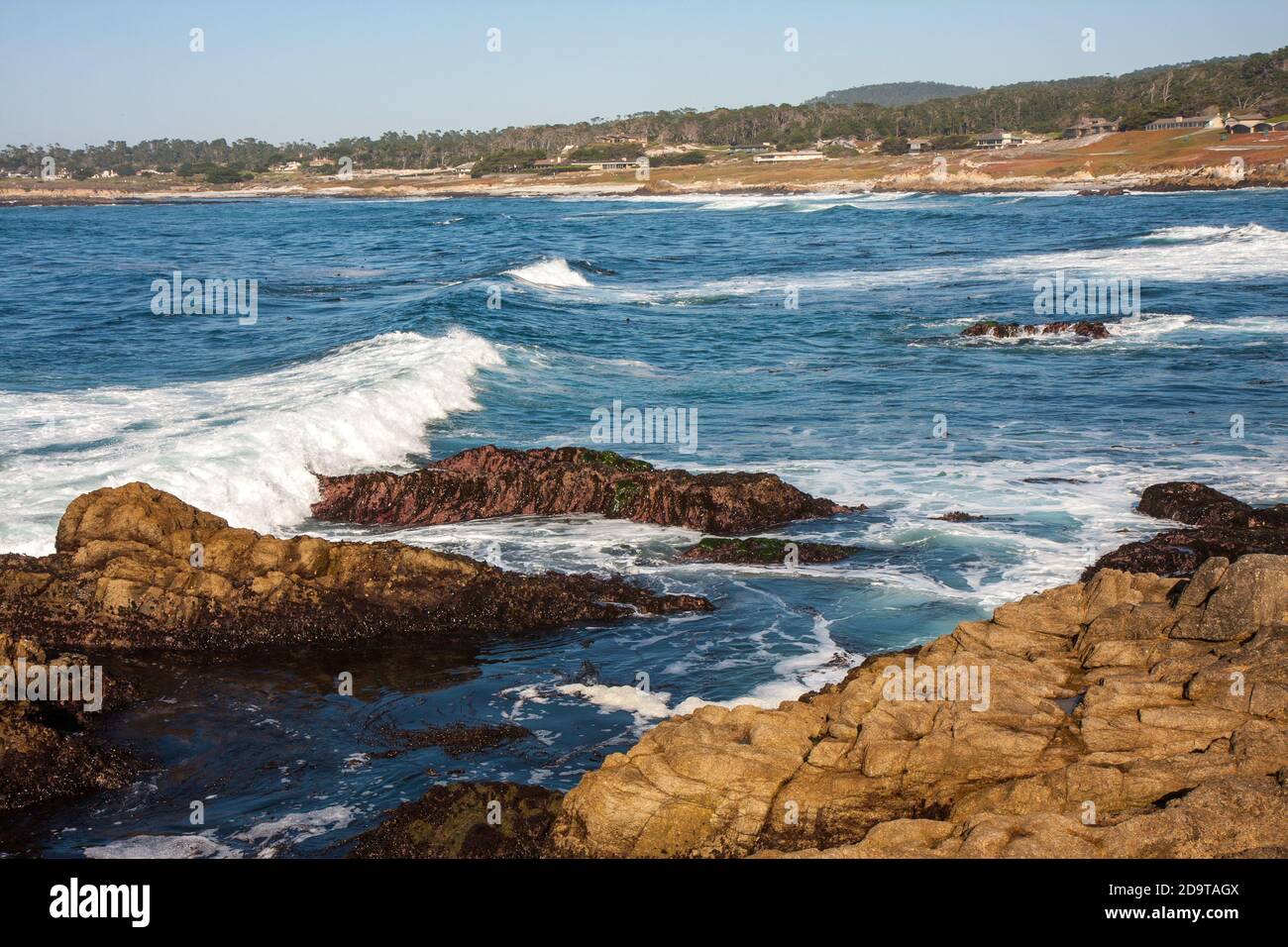 Pacific Ocean coast in Pebble Beach, California Stock Photo - Alamy