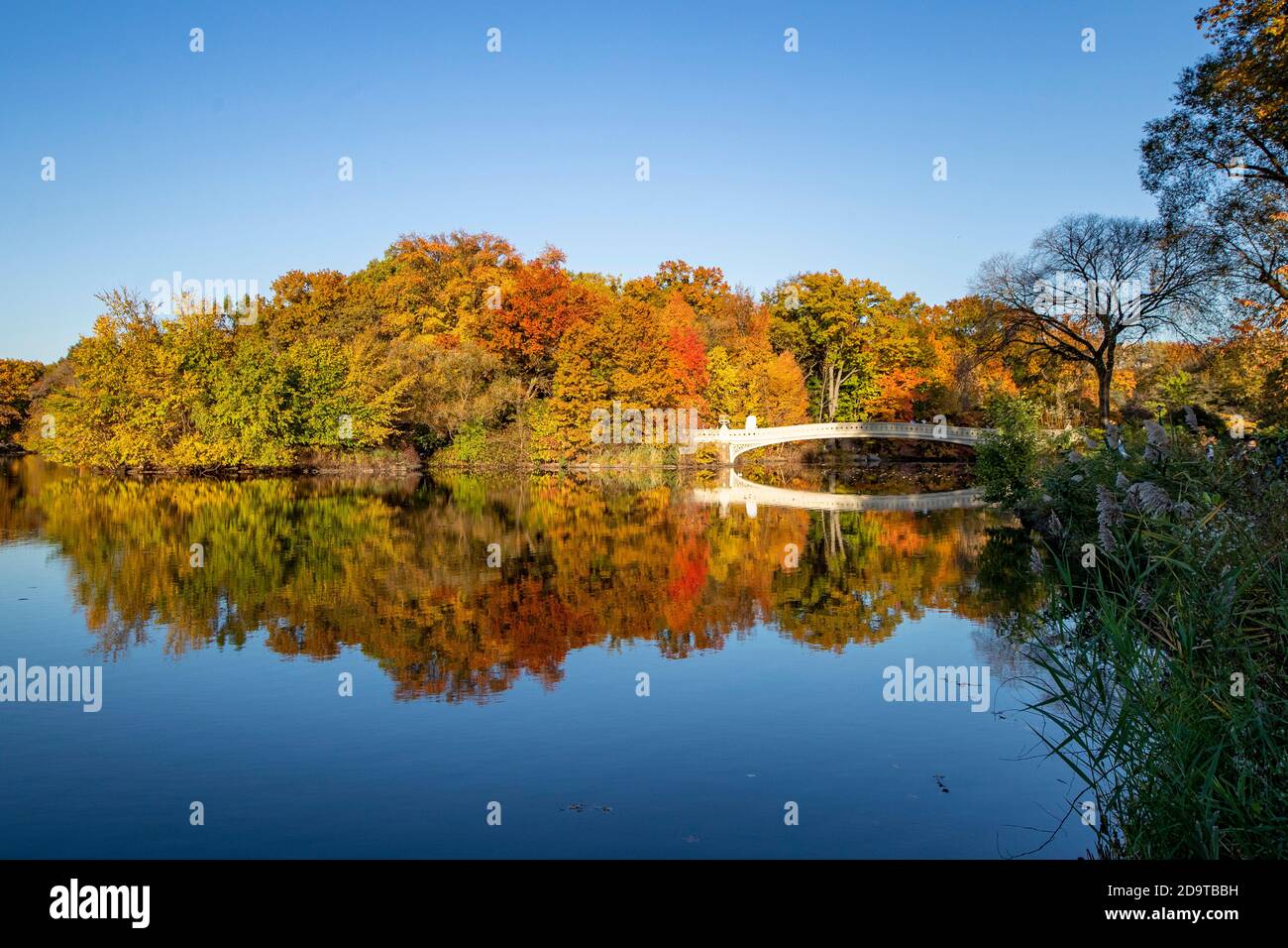 Highway bridge over bow hi-res stock photography and images - Alamy