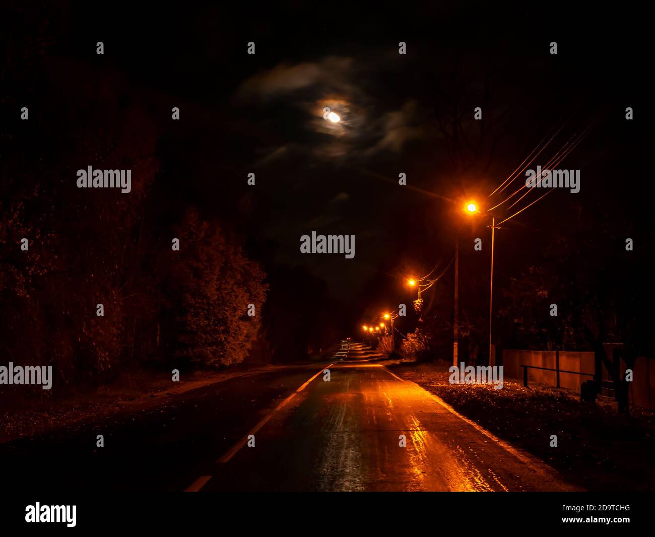 The night country road is illuminated by electric lamps. Road markings ...