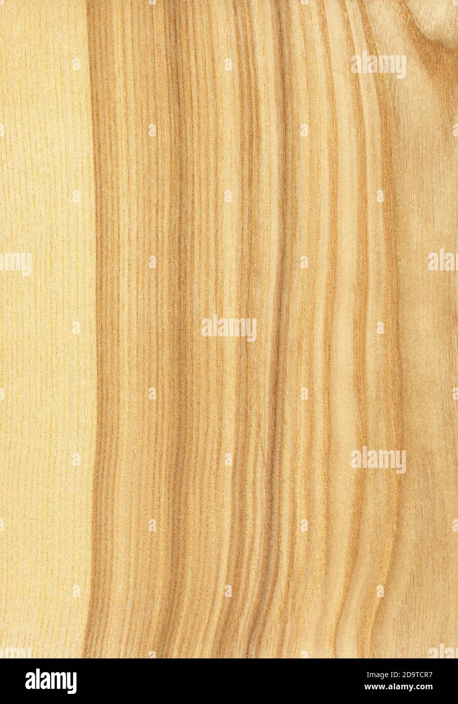 Natural wooden texture background. Ash wood Stock Photo - Alamy