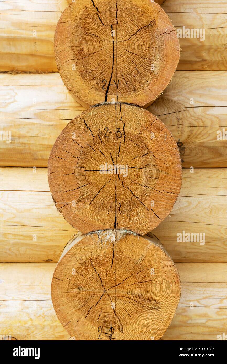 wooden house made of natural logs Stock Photo - Alamy