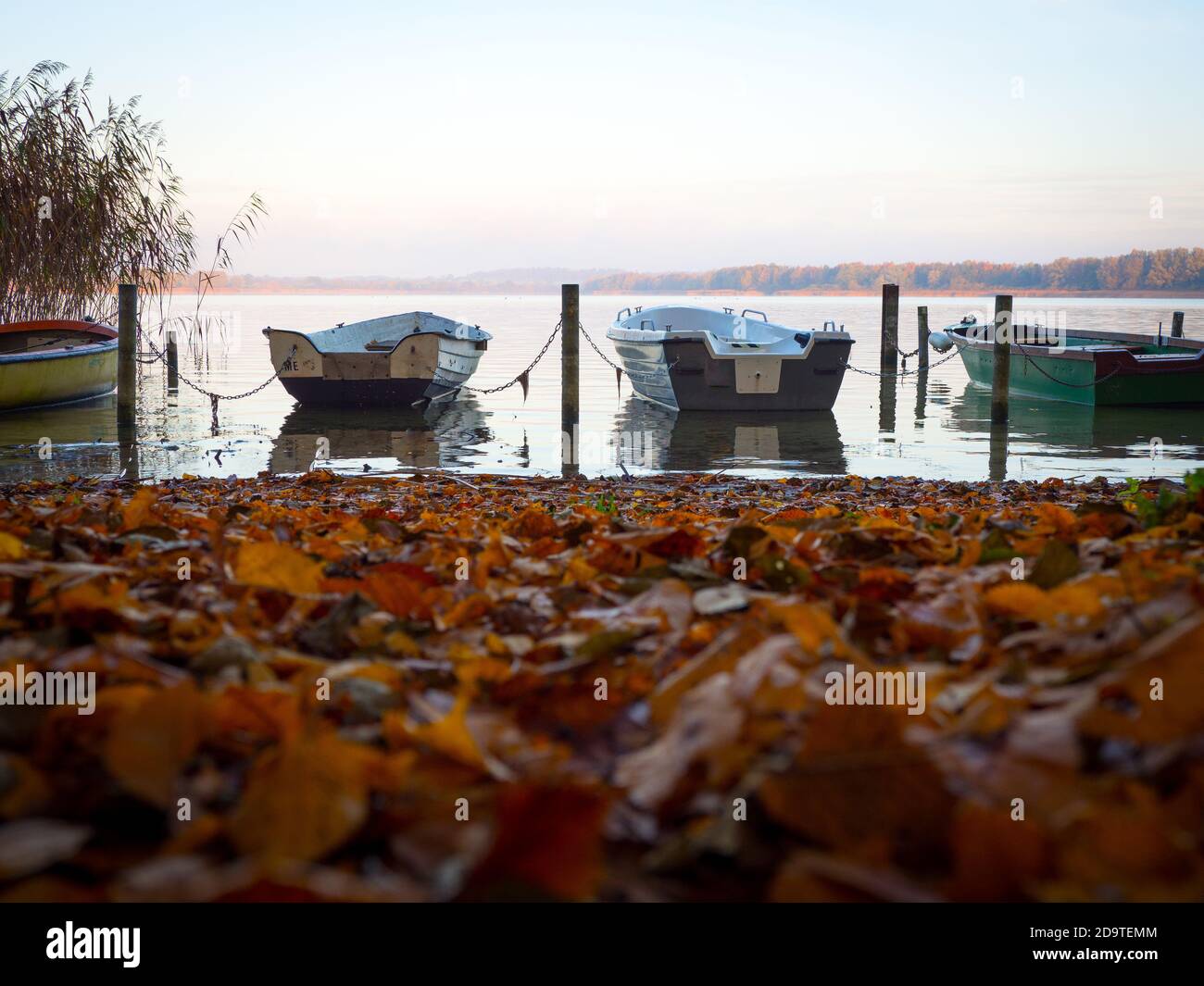 on a large lake there are many rowing boats moored to the shore Stock ...