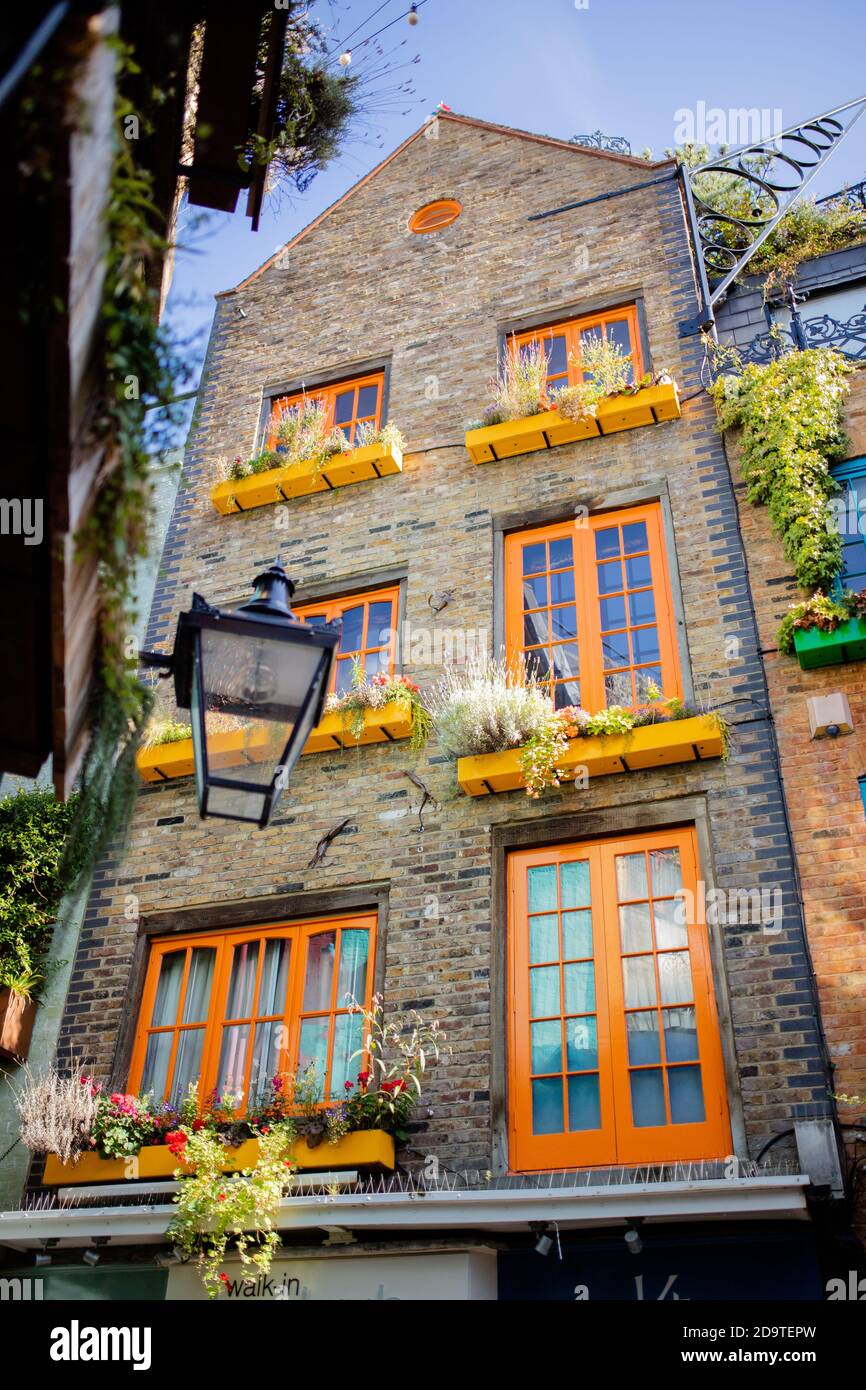 Portrait View of a Tall Brown Building with Plants on the Windows Stock ...