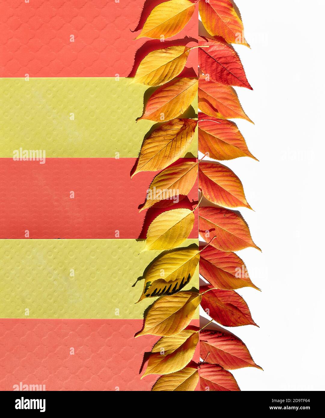 Decorative Autumn border in yellow, orange on white. Layered color ...