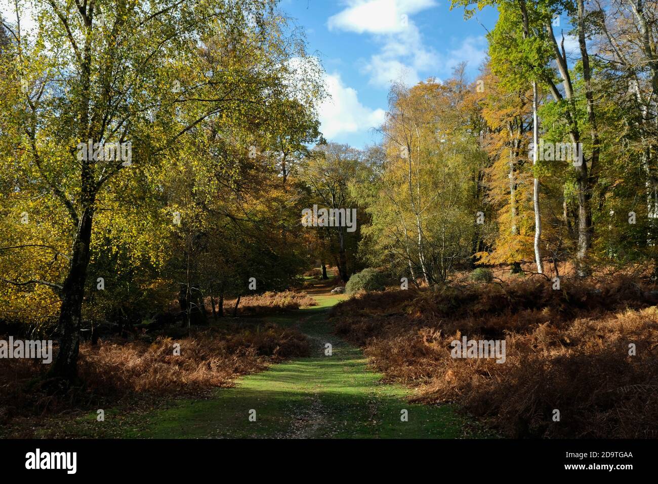 Mark ash wood hi-res stock photography and images - Alamy