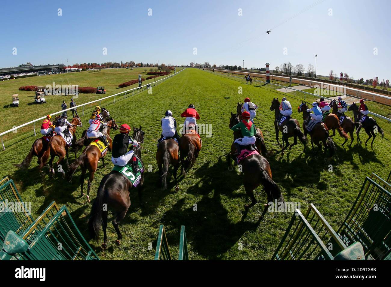 Horse out of starting gate hi-res stock photography and images - Alamy