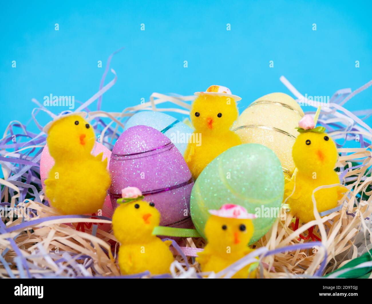 Easter Chicks and Eggs in Nest.concept of the Easter holiday and ...