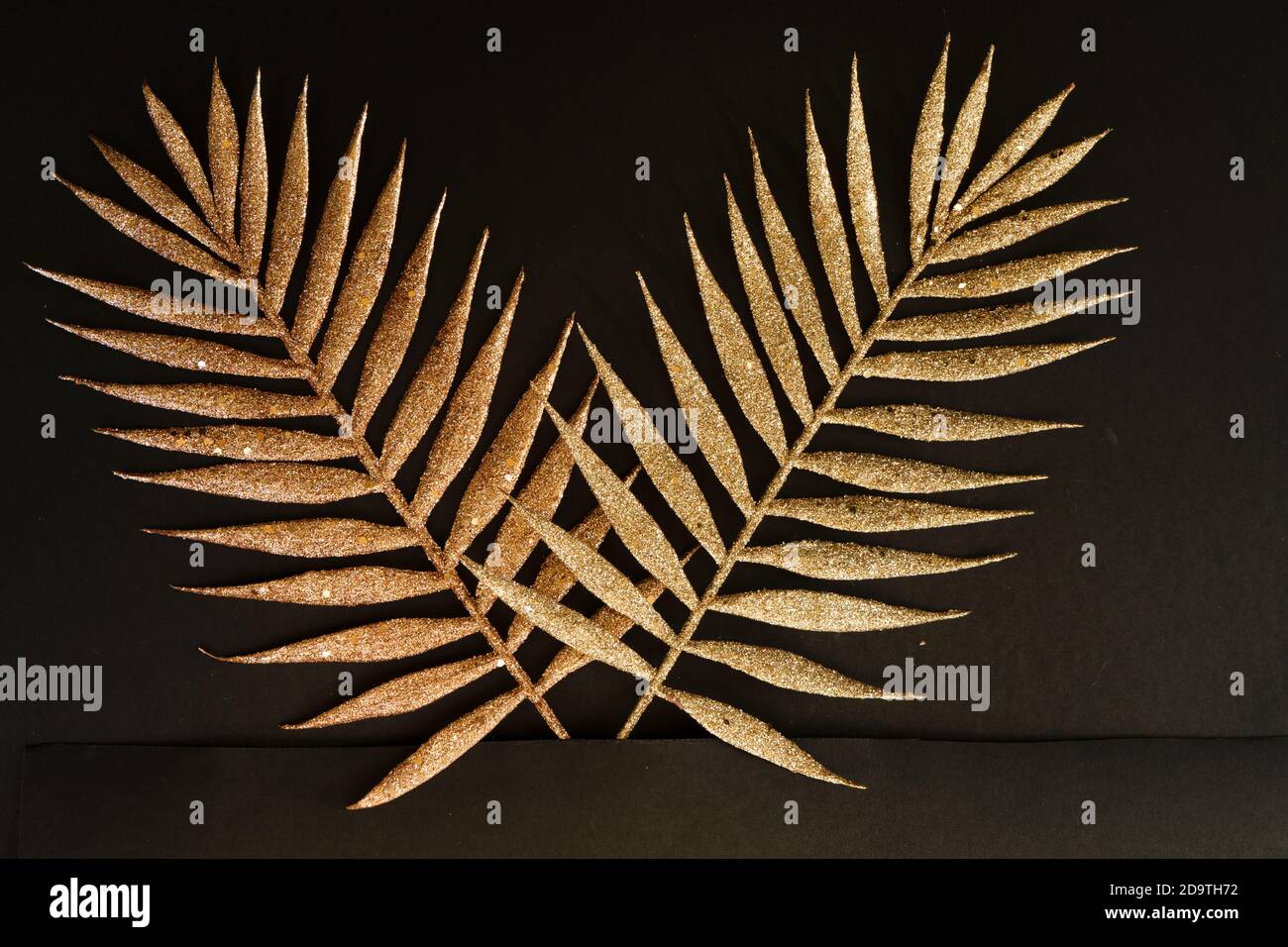 Monstera symbol hi-res stock photography and images - Alamy