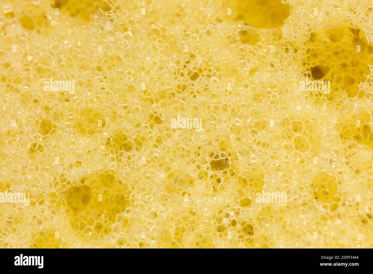 Yellow sponge texture hi-res stock photography and images - Alamy