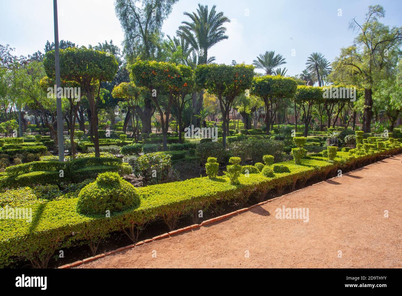 Topiary plants in Cyber Park in Marrakech with tanger trees and bushes ...