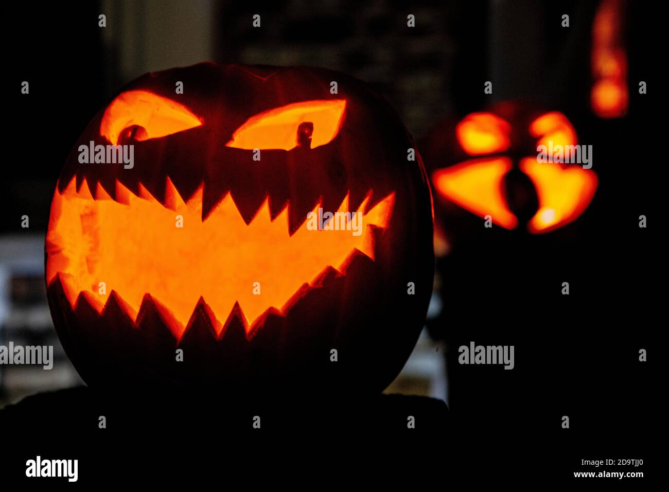 Warning sign beware of spiders spiders hi-res stock photography and ...