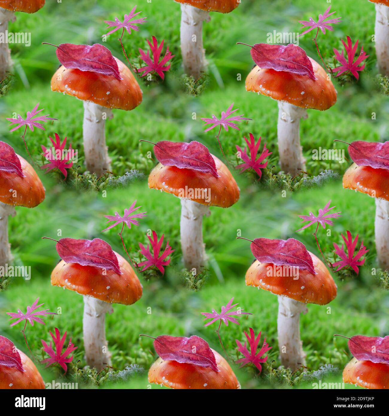 Red toadstools hi-res stock photography and images - Alamy